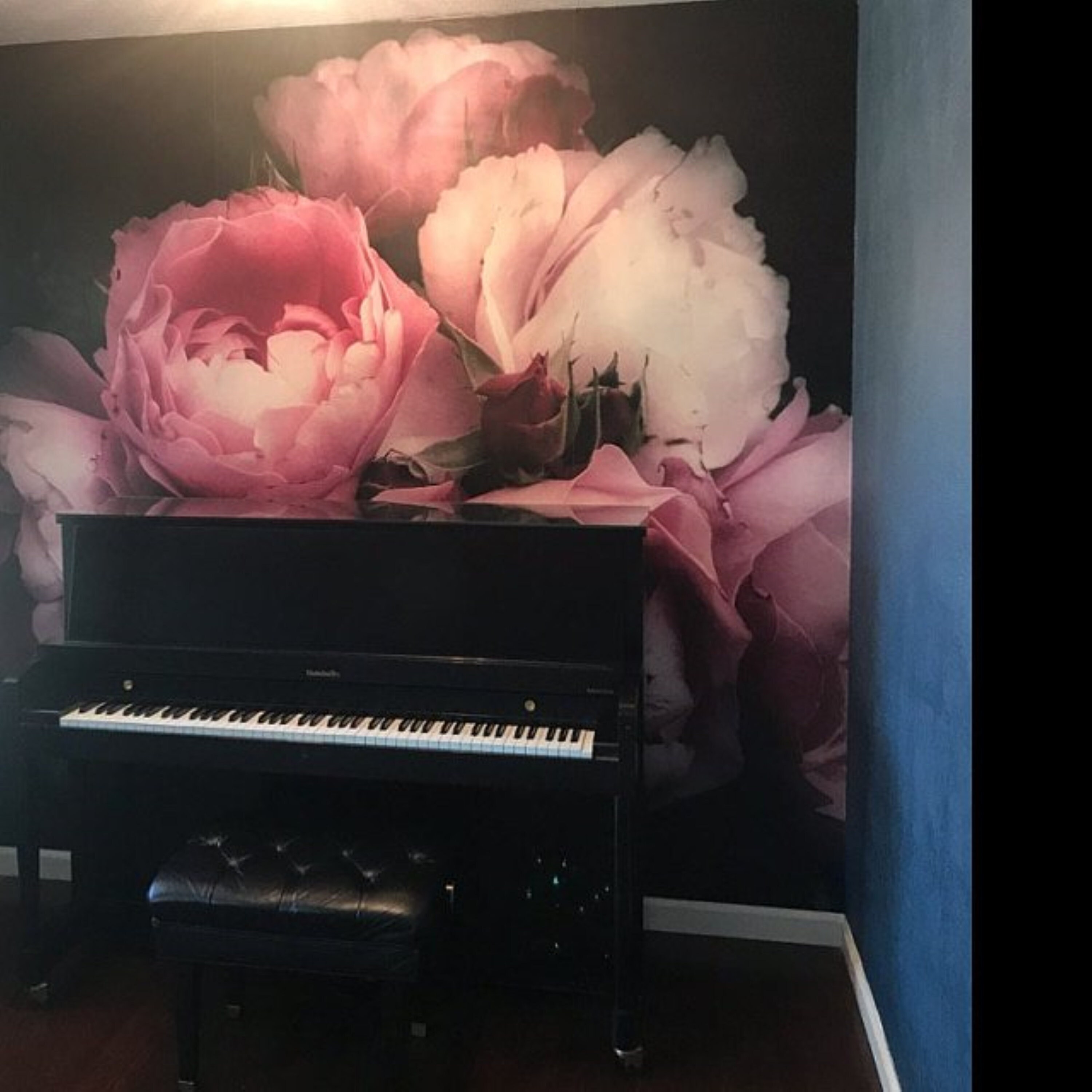 Large Flower Wallpaper, Large Flower Mural Peel and Stick Wallpaper ...