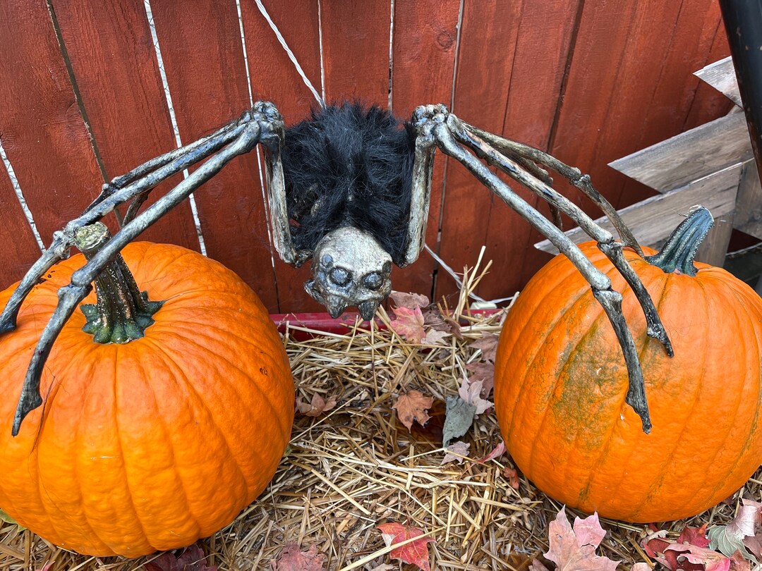 Cat Black Cat Creepy Skeleton Corpse Cat - Etsy