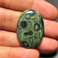 Coprolite Long Teardrop Cabochon… 15.5 X 40 X 5.5 Mm - Etsy