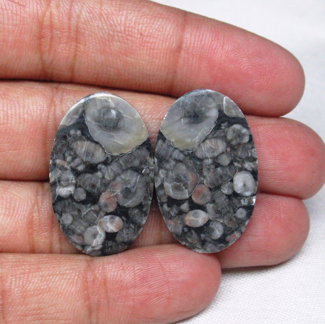 Fossil Shell Jasper Gemstone Fossil Shell Jasper Cabochon - Etsy