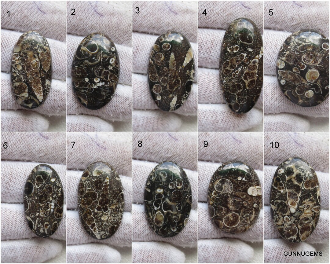 Turtella Jasper Cabochon Natural Loose Gemstone Cabochon Turtella ...