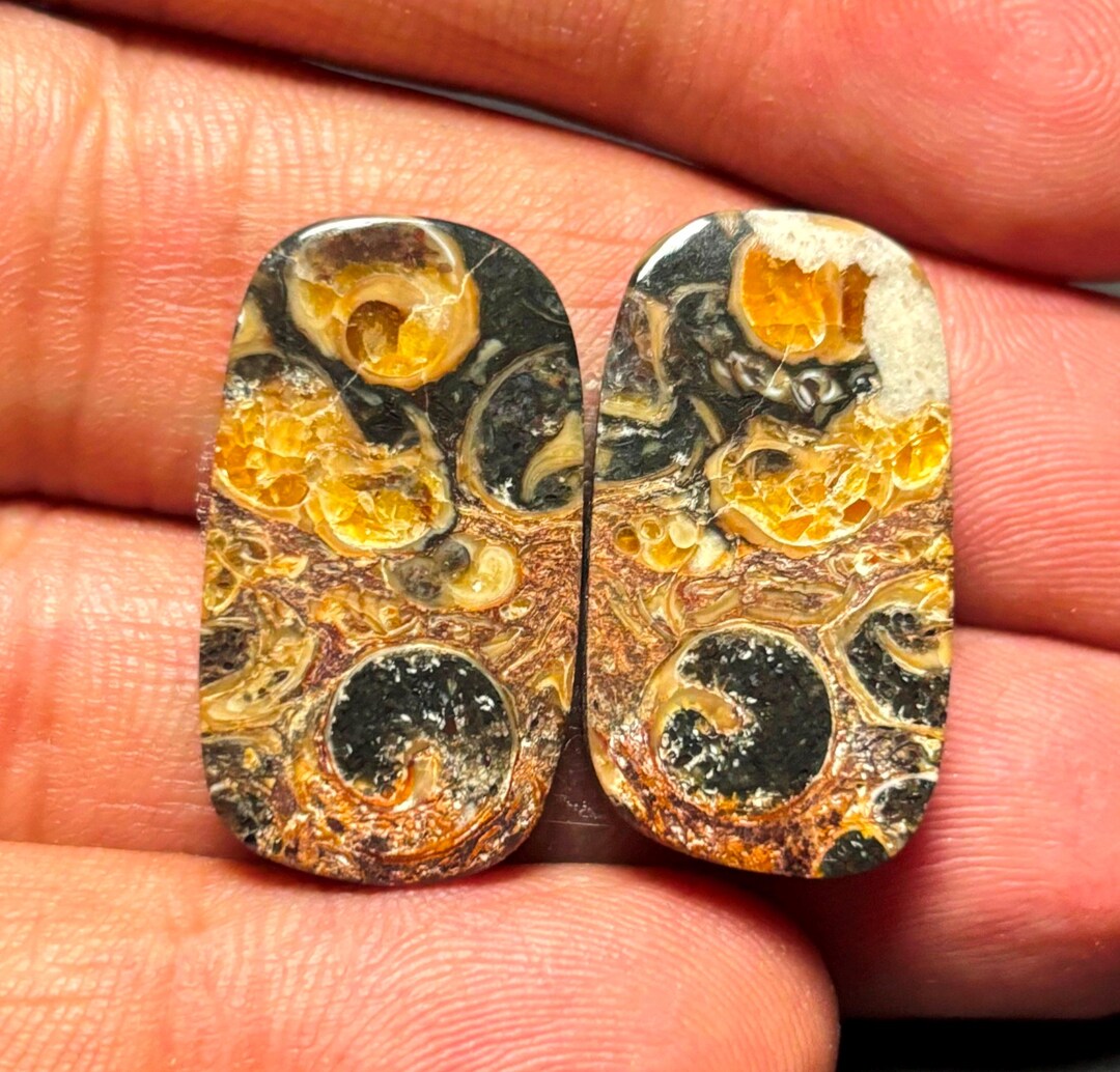 Natural Baguette Turtella Jasper Pair: 35.05 Cts Cabochon Gemstone - Etsy
