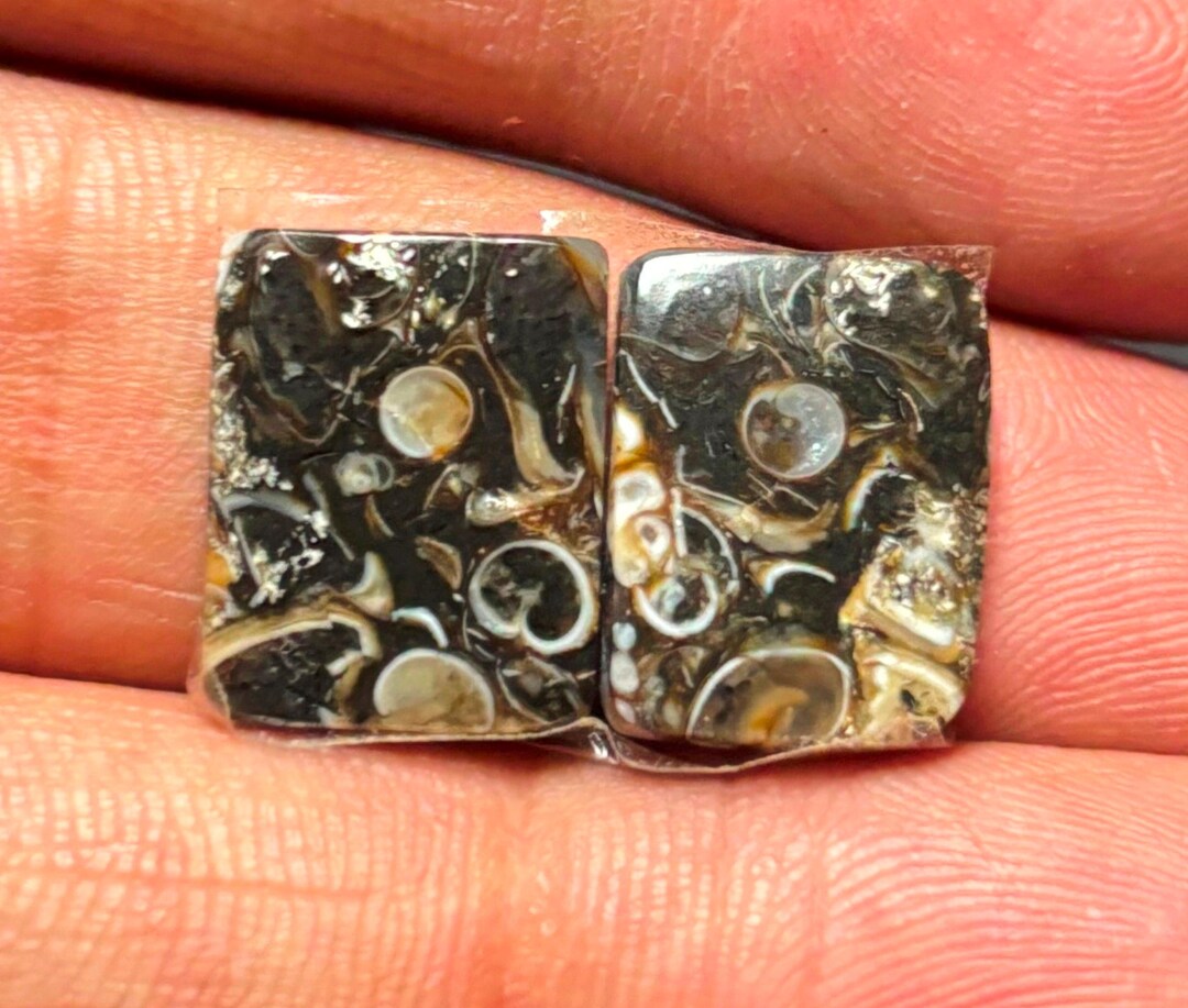 Natural Baguette Turtella Jasper Cabochon Pair: 12.65 Cts Gemstone ...