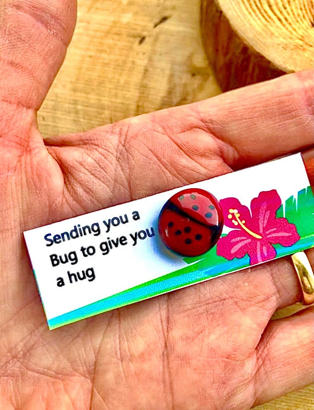 Ladybird Pocket Hug, Sending a Bug to Give a Hug, Hugs and Kisses ...