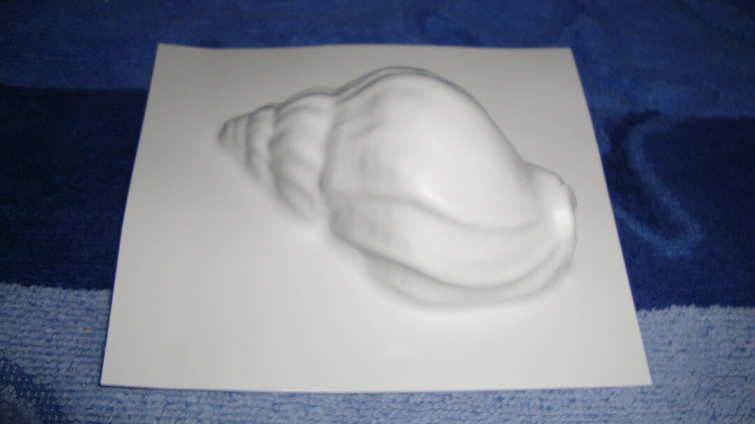Snail Shell Mold, Mussel Casting Mold, No. 2, for Soap, Plaster ...