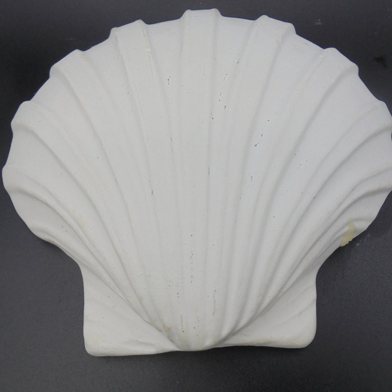 Shell Mold - Etsy