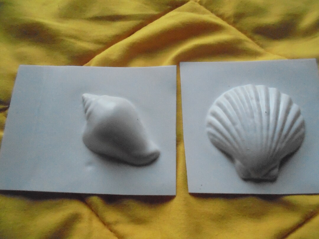 Small Shell Series Mold,shell Casting Mold, No. 5, for Soap, Plaster ...