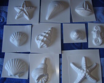 Shell Plaster Mold | Etsy