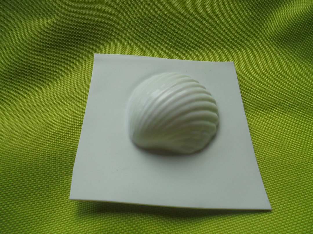 Shell Shape Shell Casting for Soap Plaster Concrete and - Etsy