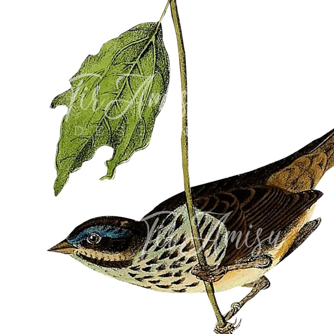 Vintage Bird On Twig Clipart Bird On Twig Clipart Bird | Etsy