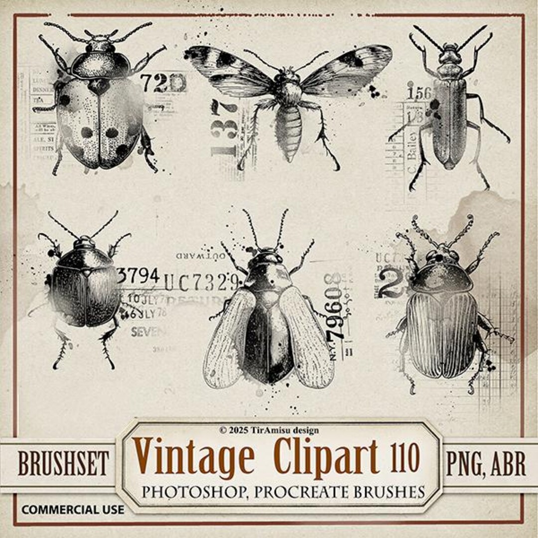 Vintage Entomology Digital Clipart & Brush | PNG, ABR, Procreate ...