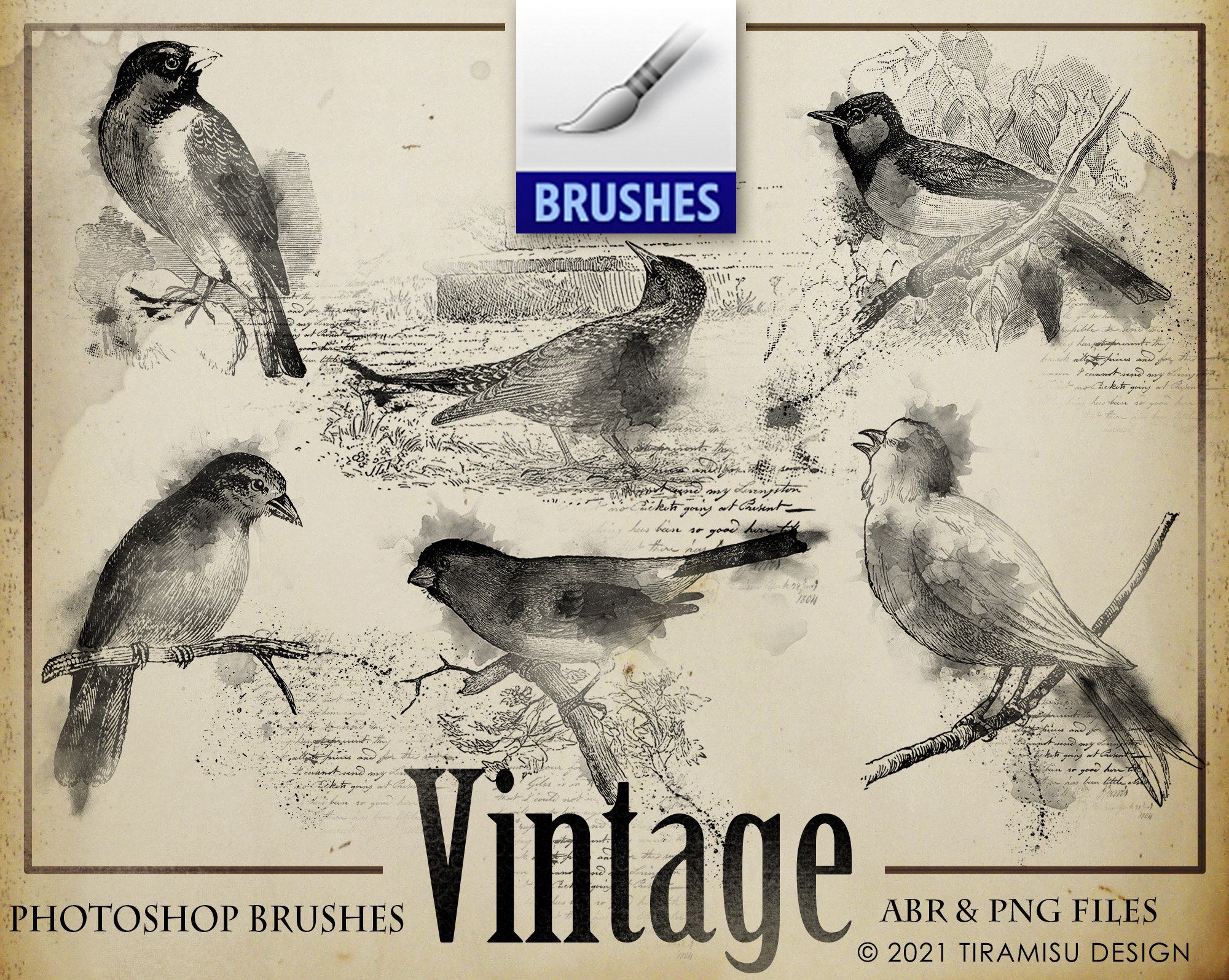 Vintage Birds Clipart, Vintage Photoshop Birds, Vintage Digital Clipart ...