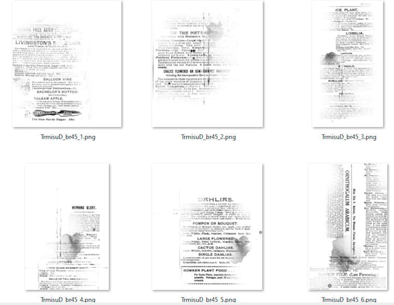 Vintage Newspaper Digital Clipart PNG| Stamp & Brush Pack for Procreate ...