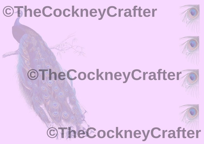 Proud as a Peacock a 28 Page Digital Download (10 Shown) - Etsy