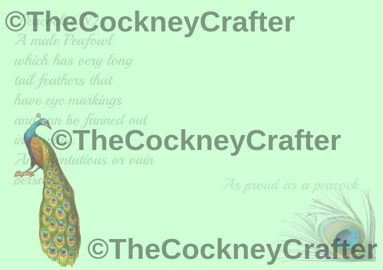 Proud as a Peacock a 28 Page Digital Download 10 Shown - Etsy