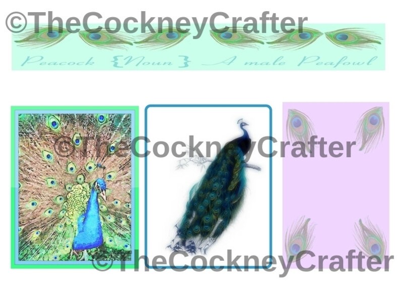 Proud as a Peacock a 28 Page Digital Download 10 Shown - Etsy UK