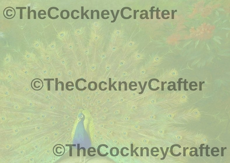 Proud as a Peacock a 28 Page Digital Download 10 Shown - Etsy