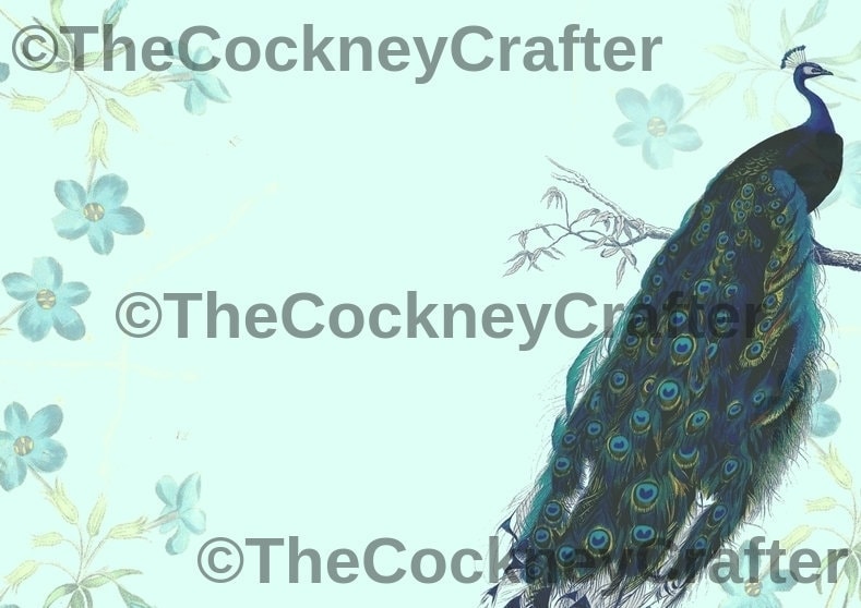 Proud as a Peacock a 28 Page Digital Download 10 Shown - Etsy