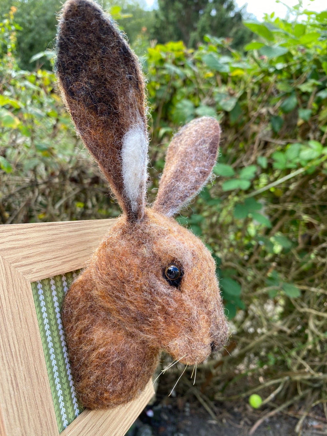 Custom Made Hare Head Sculpture in Frame - Etsy