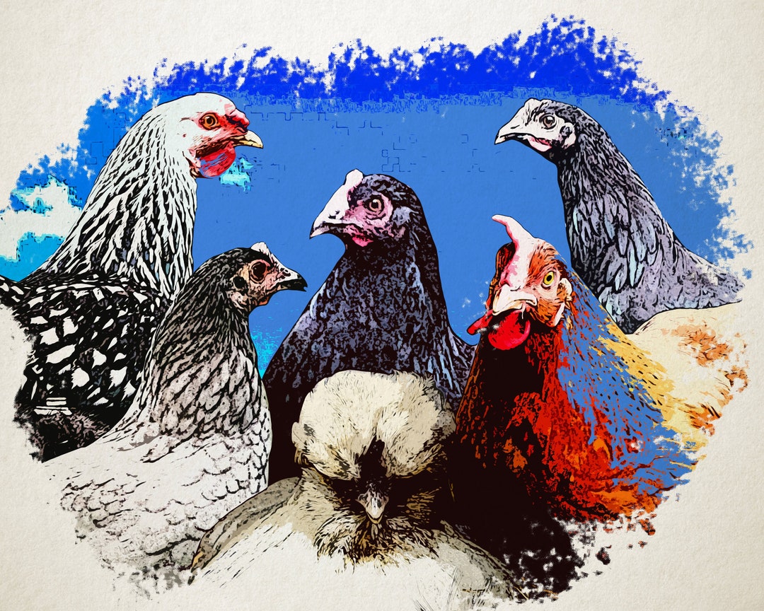 Chicken Print Digital Download, Chicken Download, Chicken Picture ...
