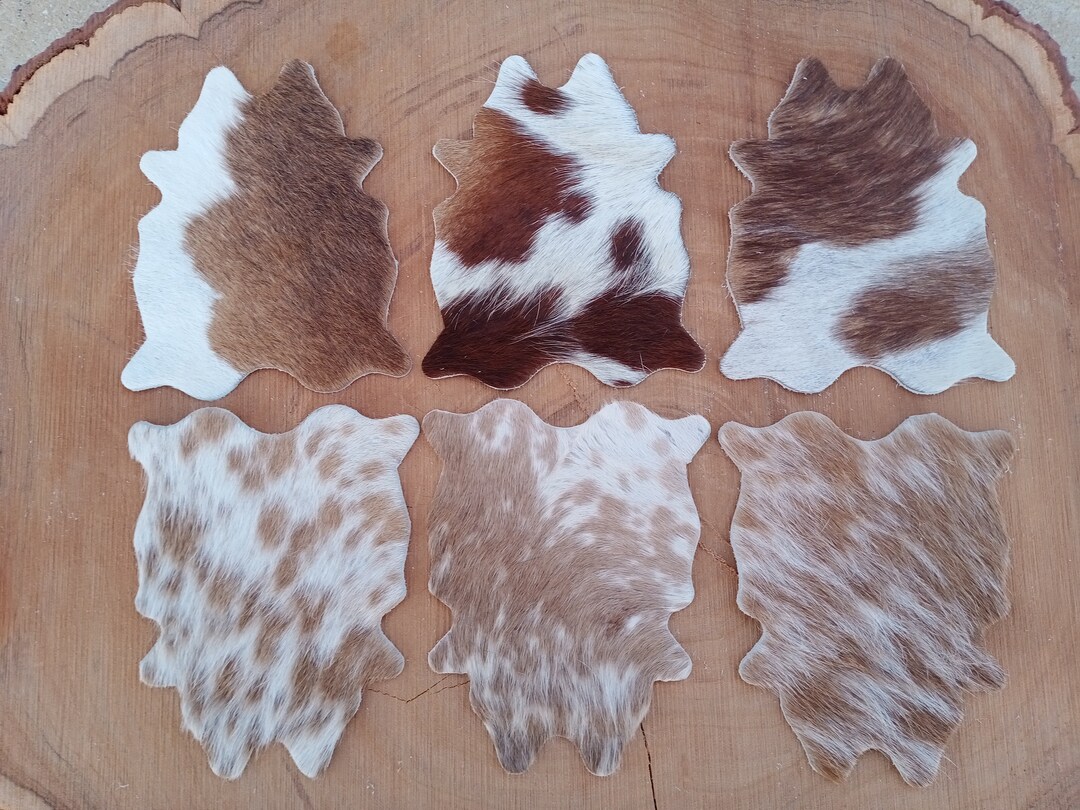 Mini Cowhide Coasters Real Cowhide Coasters Western Cowhide Coaster ...