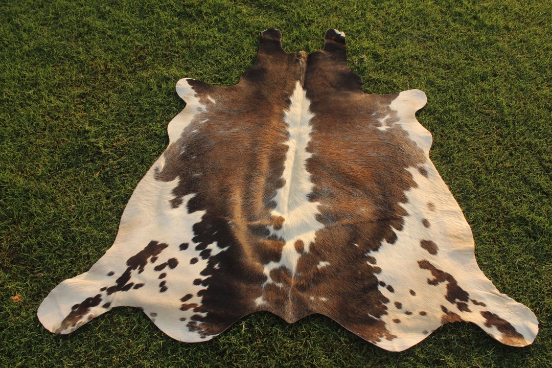 Amazing Tricolor Cowhide Rug Tricolor Cow Skin Rug Cow Hide Rug 4 X 4.5 ...