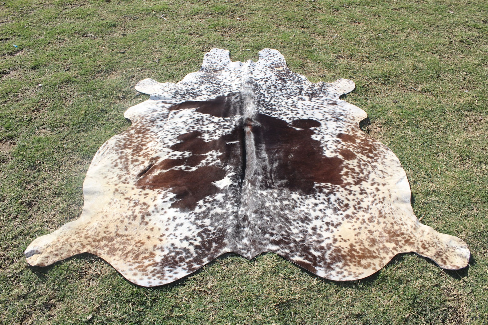 Amazing Tricolor Cowhide Rug Tricolor Cow Skin Rug Cow Hide | Etsy