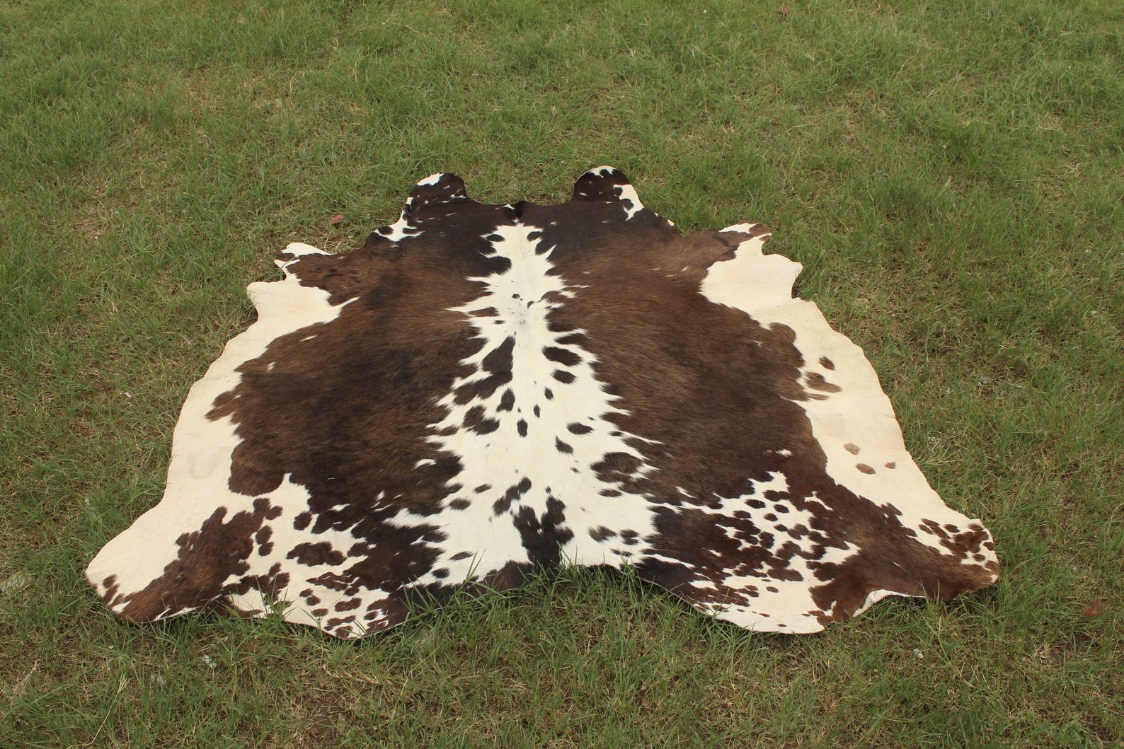 Amazing Tricolor Cowhide Rug Small Tricolor Cow Skin Rug Small | Etsy
