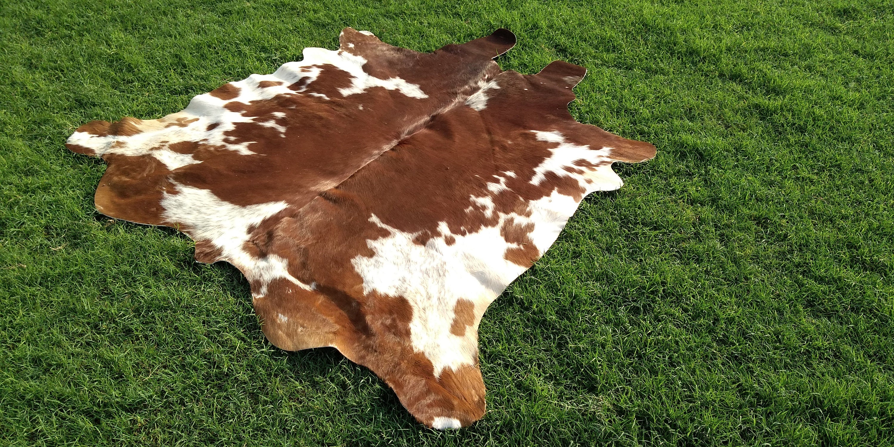 Amazing Brown and White Cowhide Rug Cow Skin Rug Leather Hide | Etsy