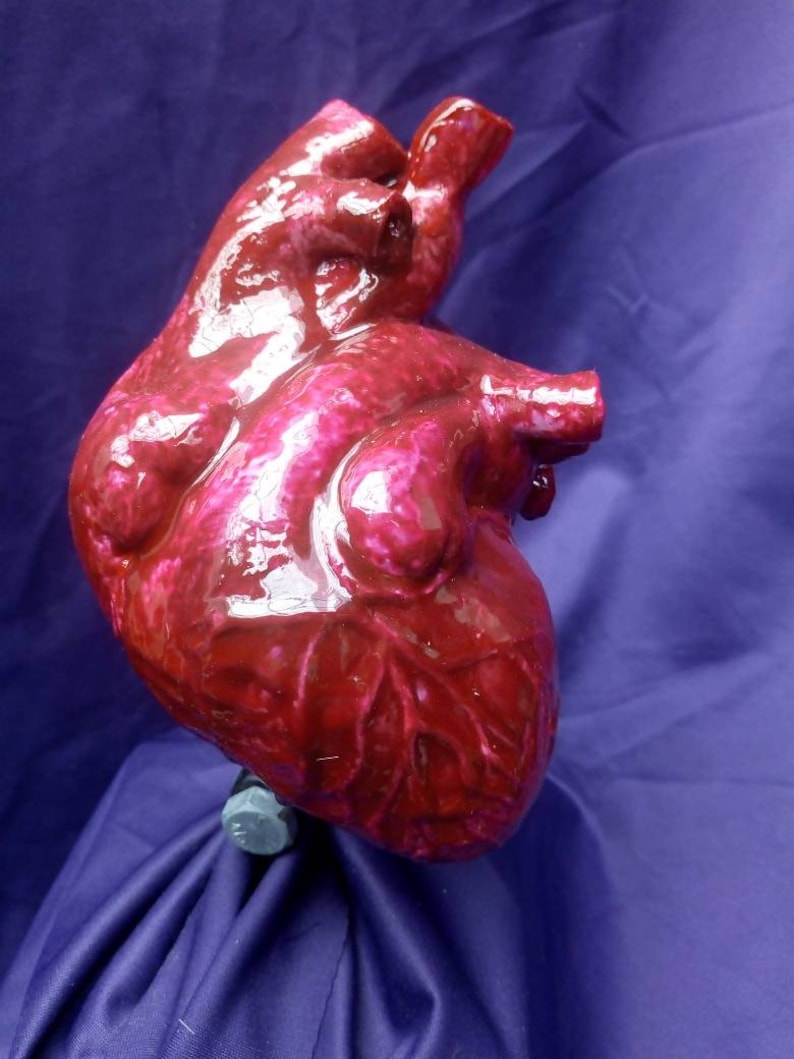 Real Anatomic Human Heart Realistic Replica Halloween Prop - Etsy