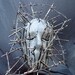 Horrorhalloween Costume Spooky Mask Freaky Maskhorror - Etsy