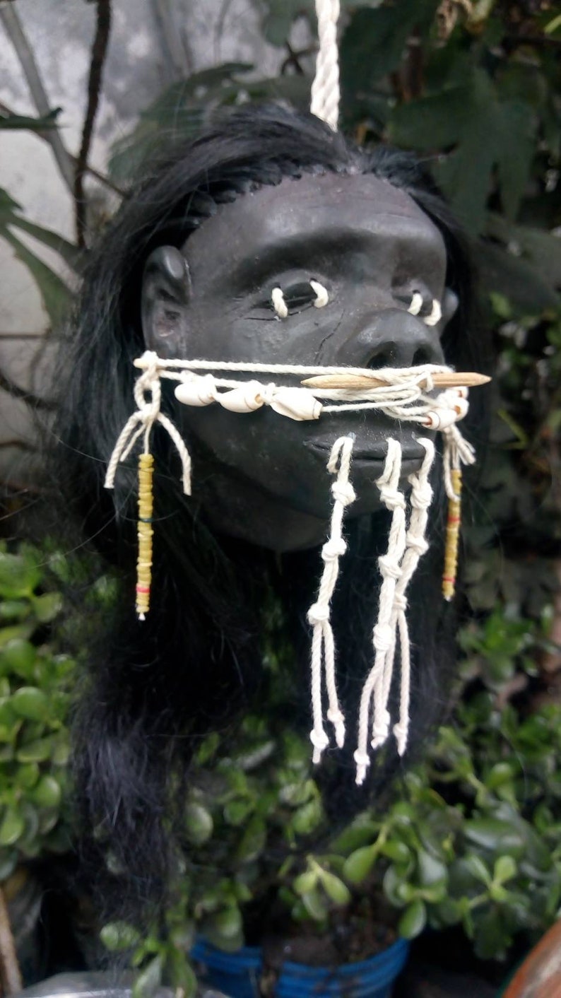 Shrunken Human Head Tzantza Warrior Trophy Jivaro Tribe | Etsy