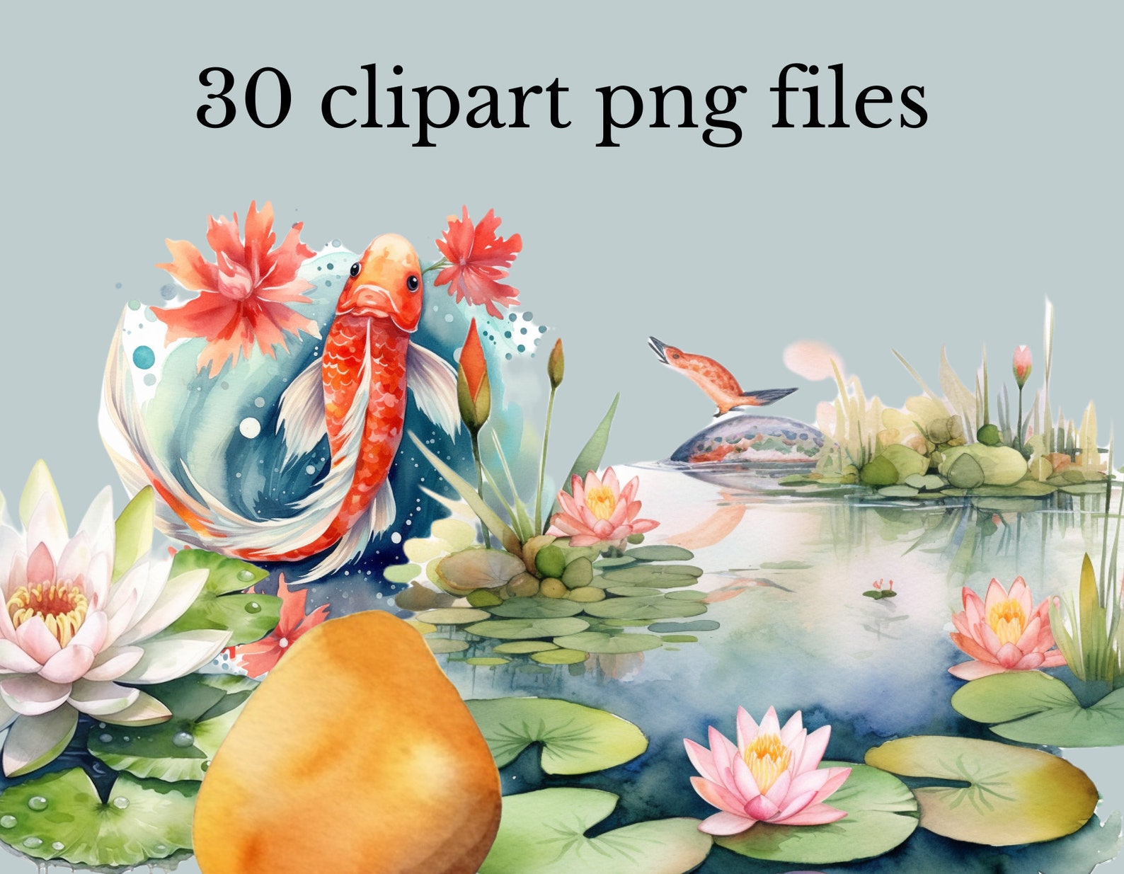 Watercolor Koi Fish Clipart Koi Fish Clip Art Koi Fish - Etsy