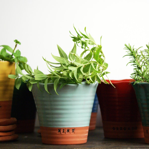 Terra Cotta Pots - Etsy