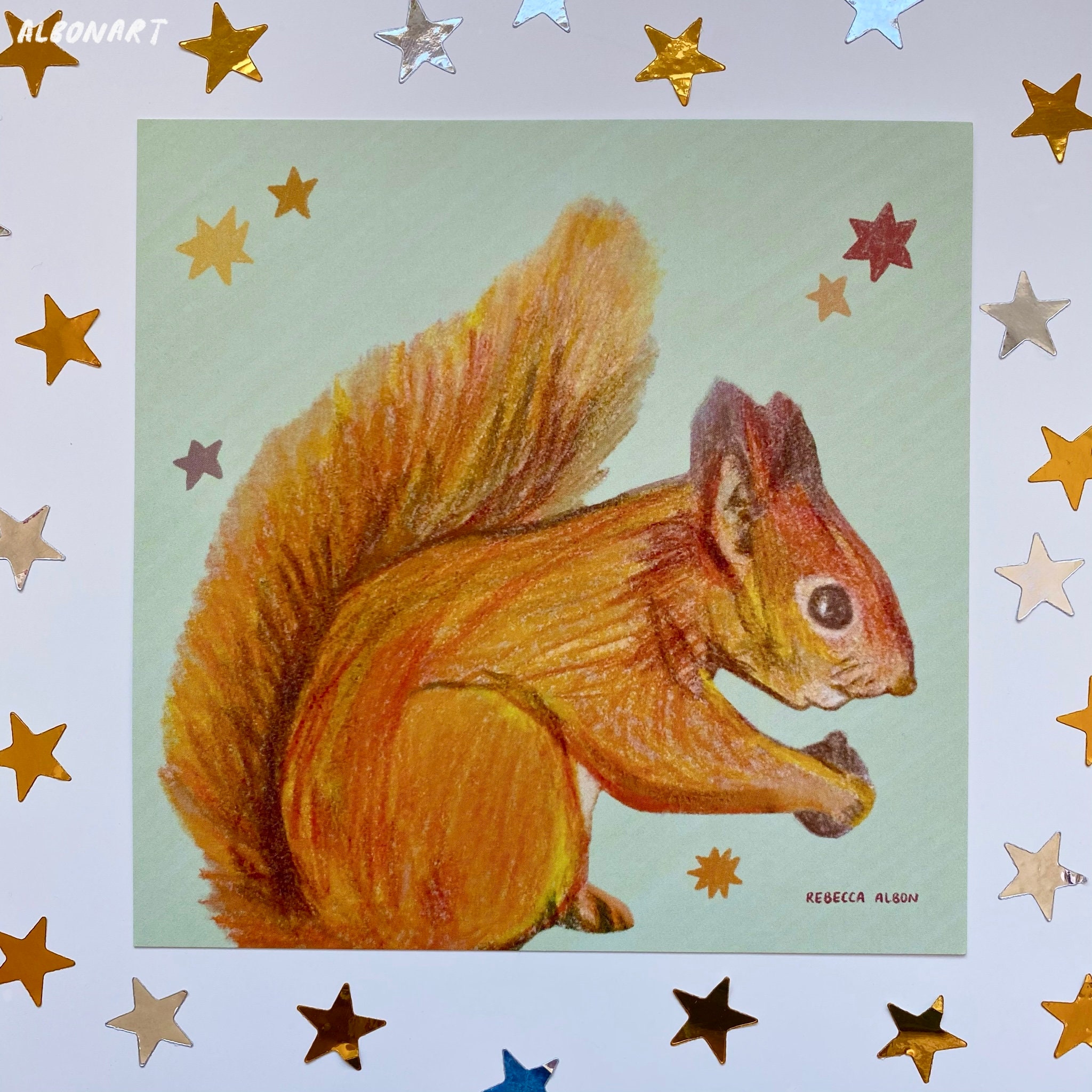British Wildlife Square Postcard Set of Five | 148x148mm - Etsy