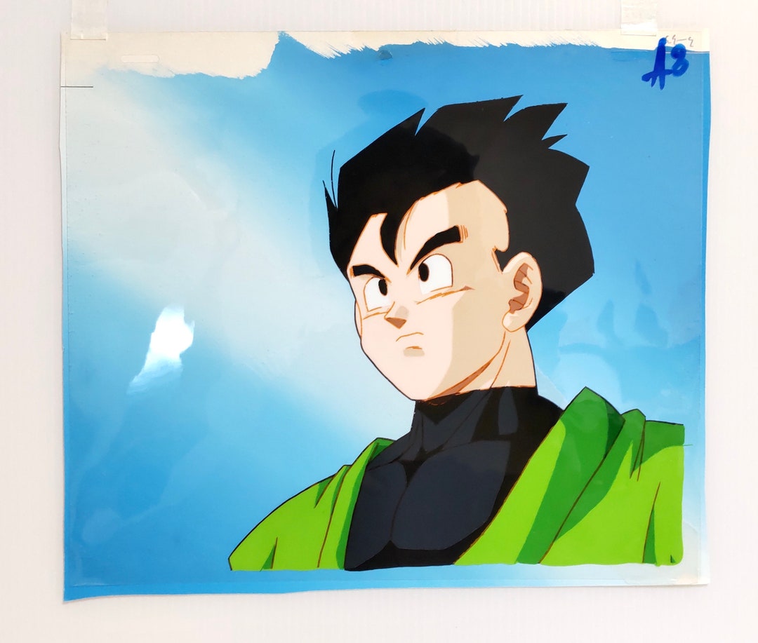 Son Gohan Dragon Ball Z Side Story: Plan to Eradicate the Saiyans ...