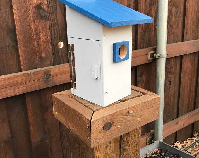 Bluebird House, Nest Box, Blue Over Gray Item #287 - Etsy