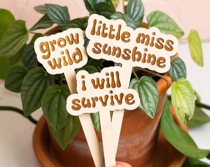 Funny Plant Wood Signs Garden Stakes Humor Garden or Indoor Plant Signs ...