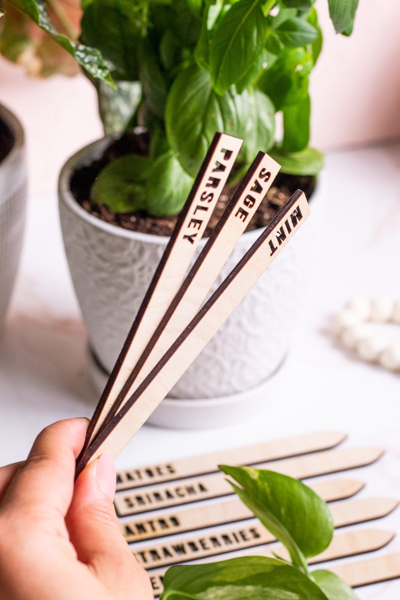 Minimal Plant Markers Plant Stakes Garden Stakes Modern - Etsy