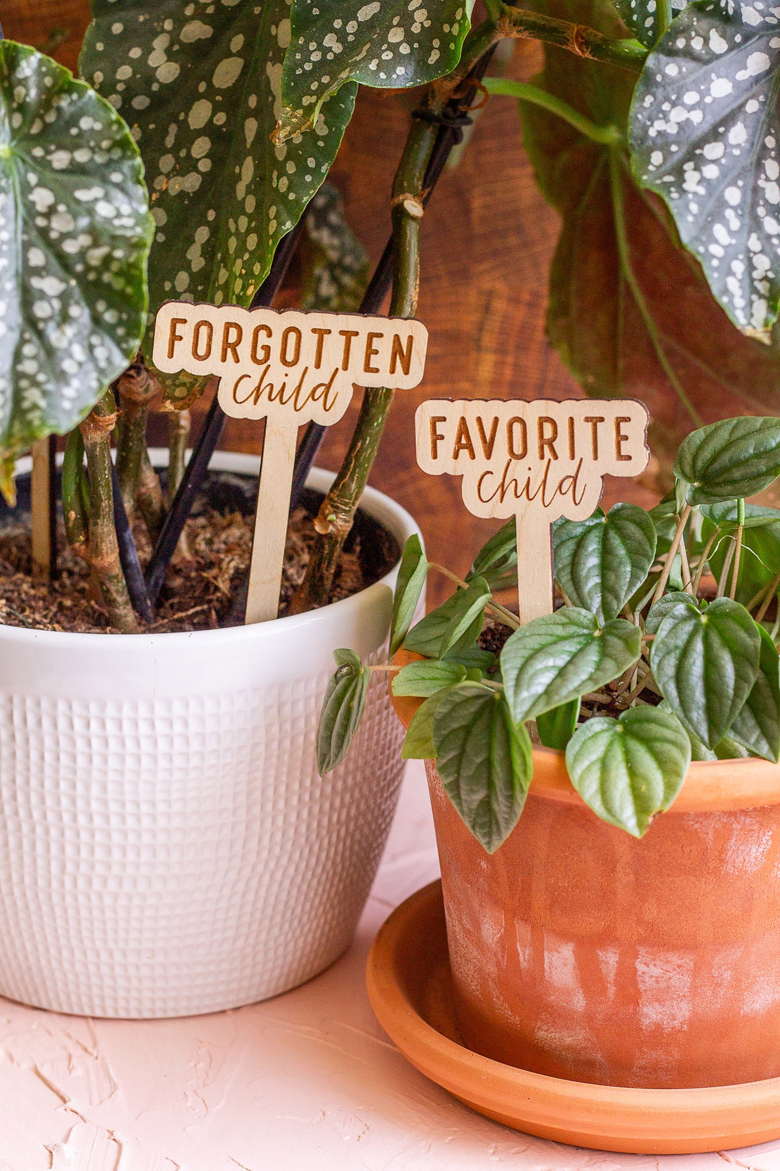 Funny Plant Stakes, Plant Markers, Garden Stakes, Garden Decor, Plant ...
