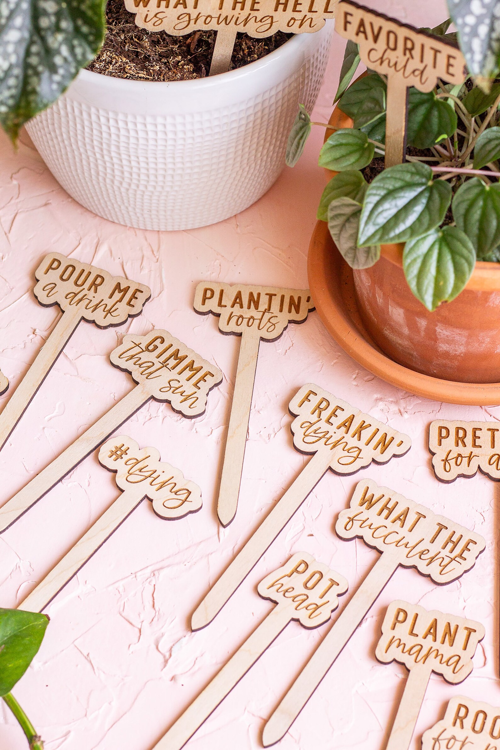 Funny Plant Stakes, Plant Markers, Garden Stakes, Garden Decor, Plant ...