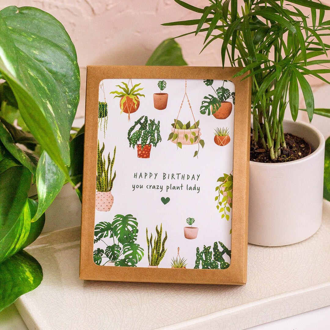 Greeting Card Variety Pack, Pack of 5, Plant Lover Card, Card Pack, New ...