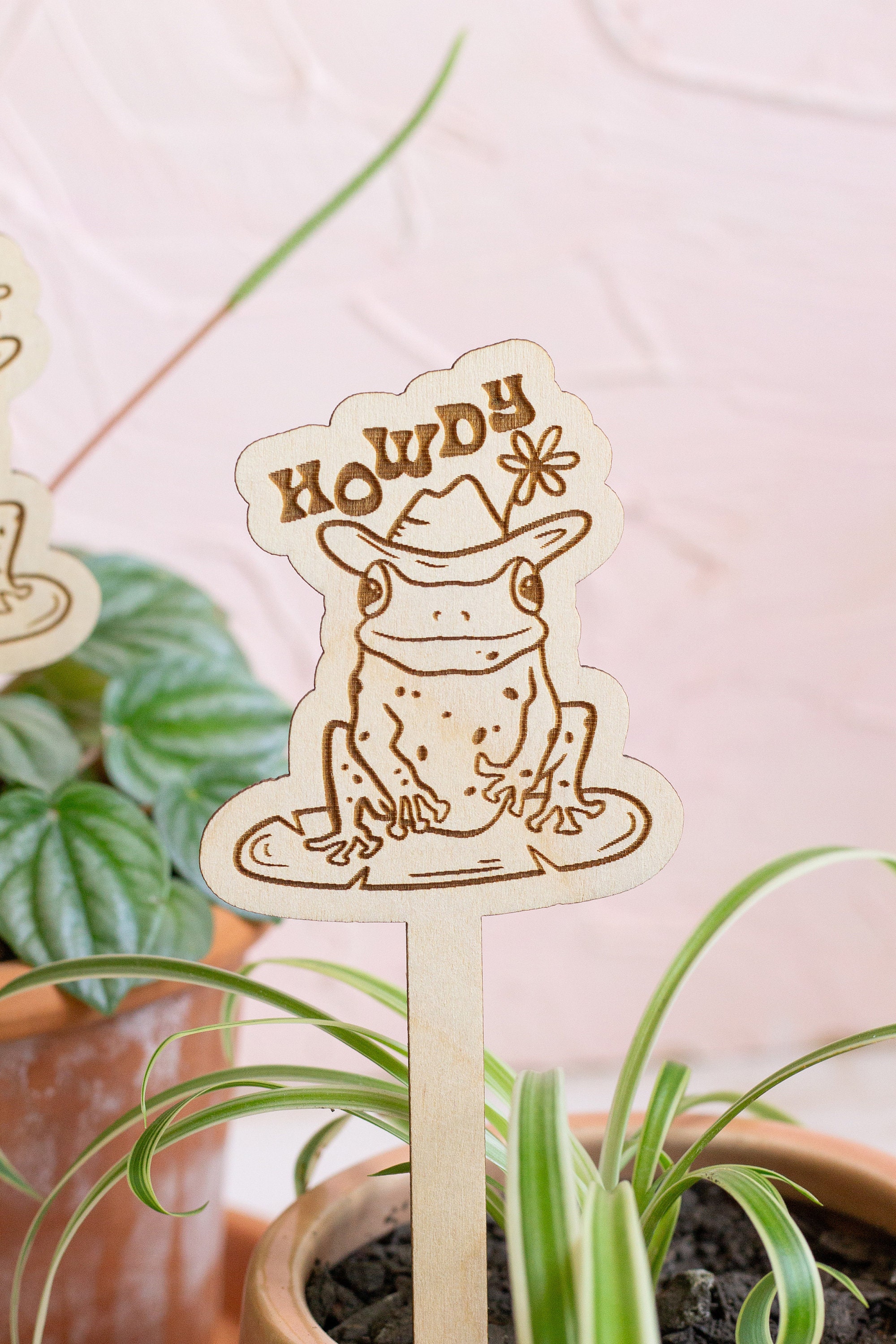 Cowboy Frog Plant Stake, Plant Markers, Garden Decor, Plant Accessories ...