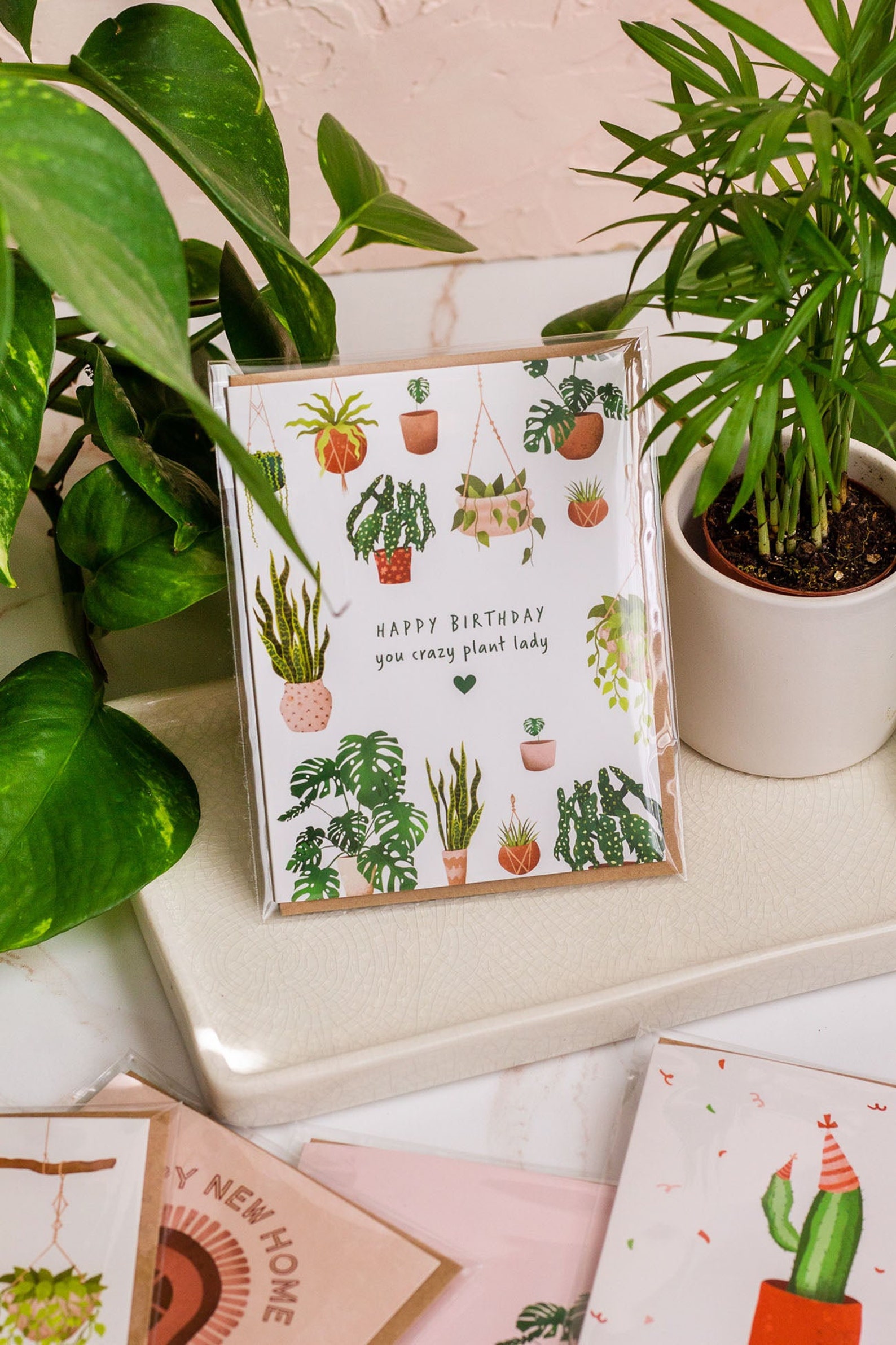 Greeting Card Variety Pack, Pack of 5, Plant Lover Card, Card Pack, New ...