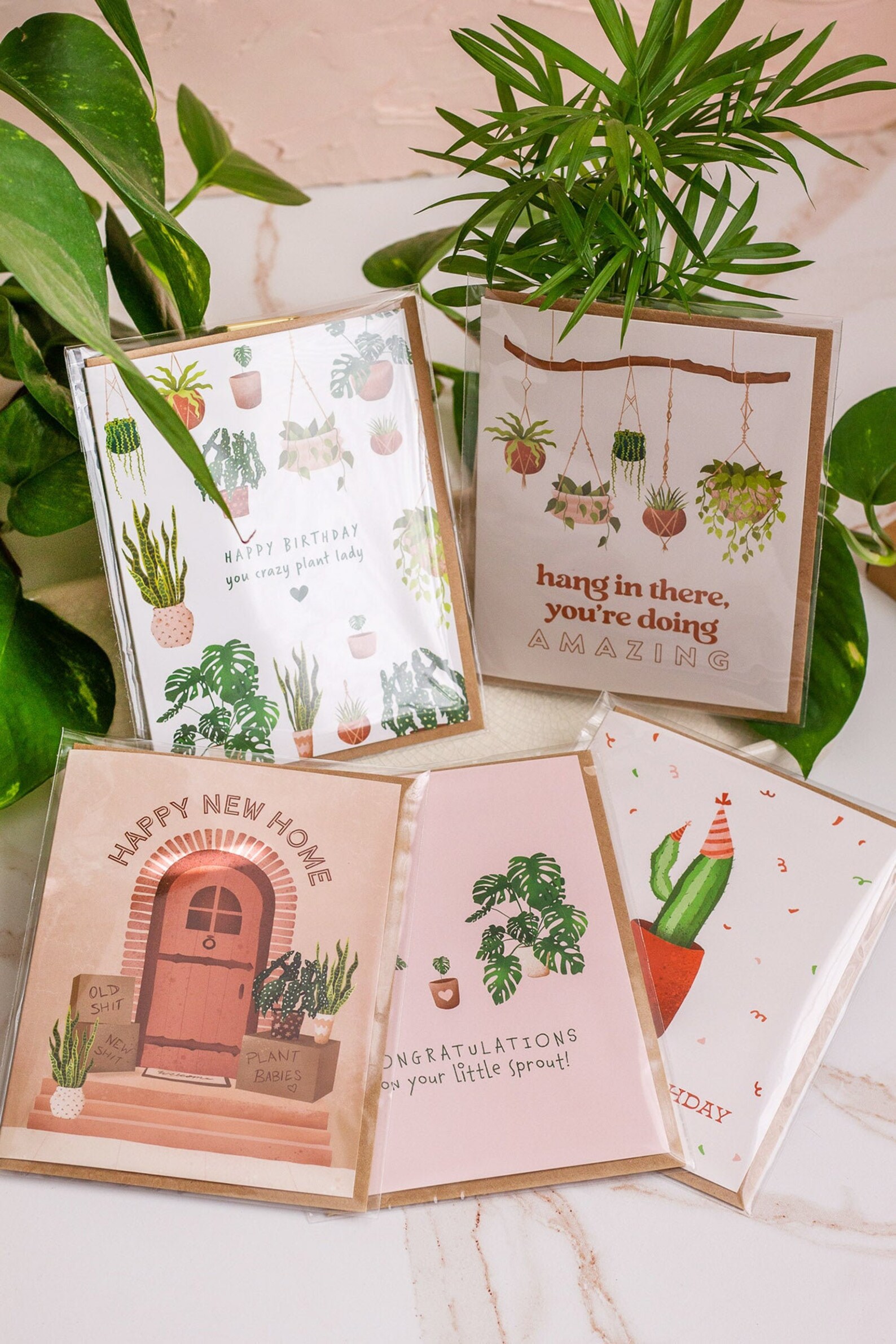 Greeting Card Variety Pack, Pack of 5, Plant Lover Card, Card Pack, New ...