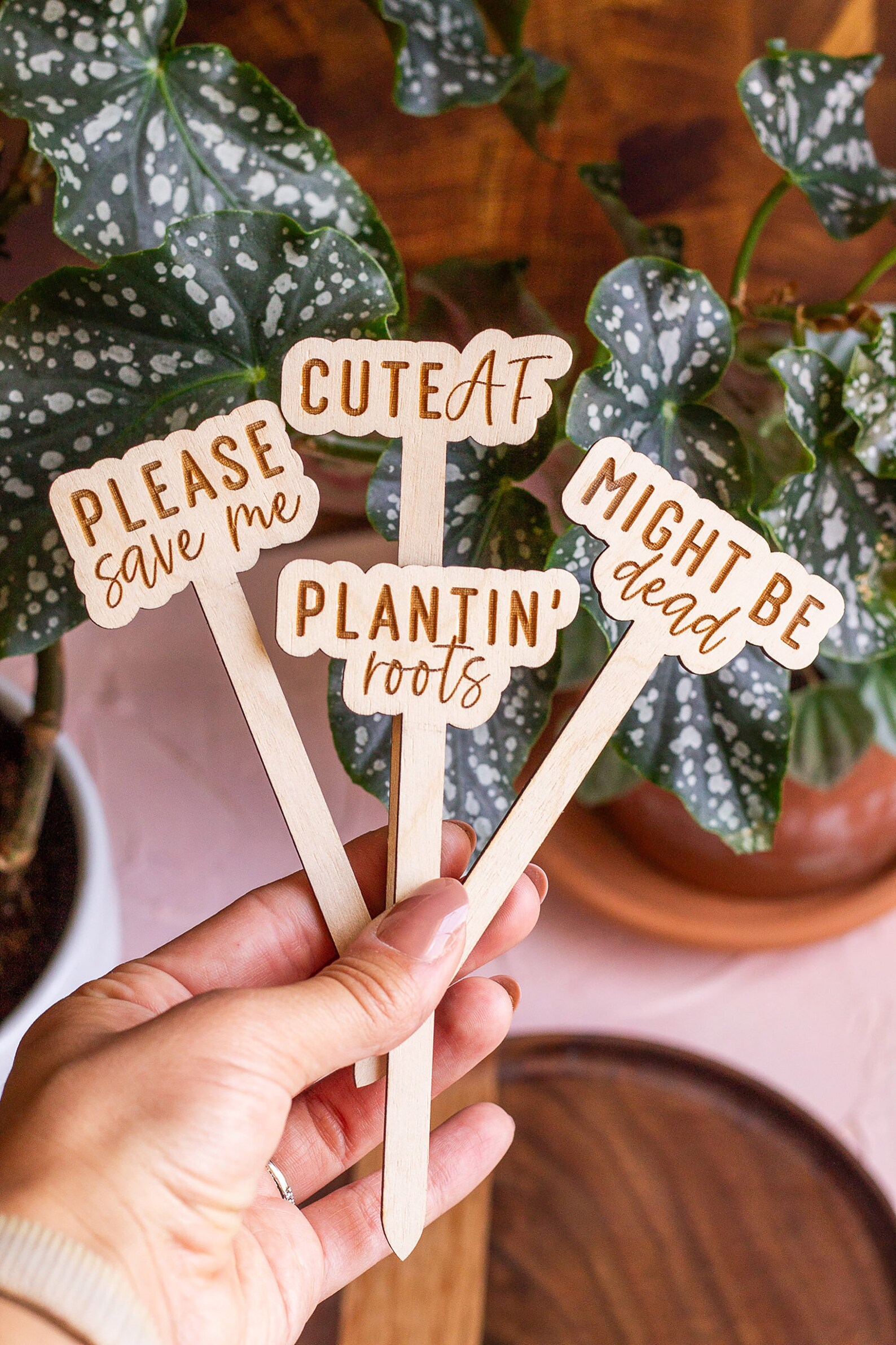 Funny Plant Stakes, Plant Markers, Garden Stakes, Garden Decor, Plant ...