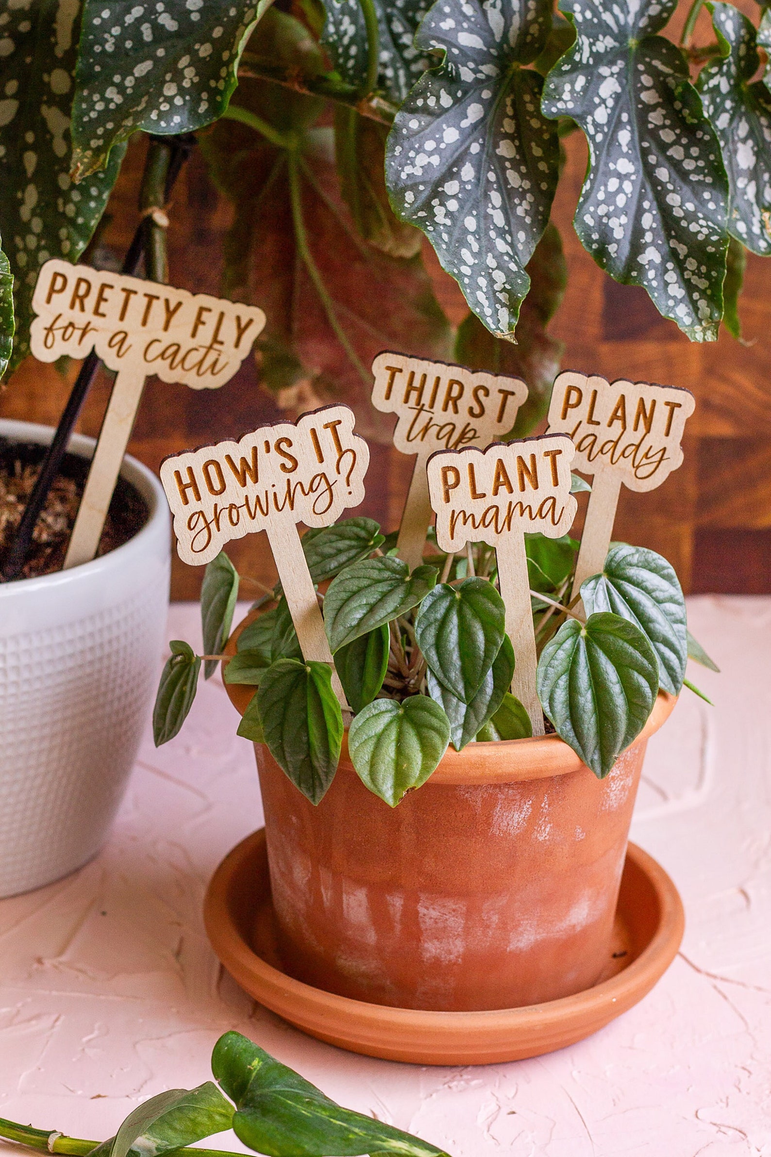 Funny Plant Stakes, Plant Markers, Garden Stakes, Garden Decor, Plant ...