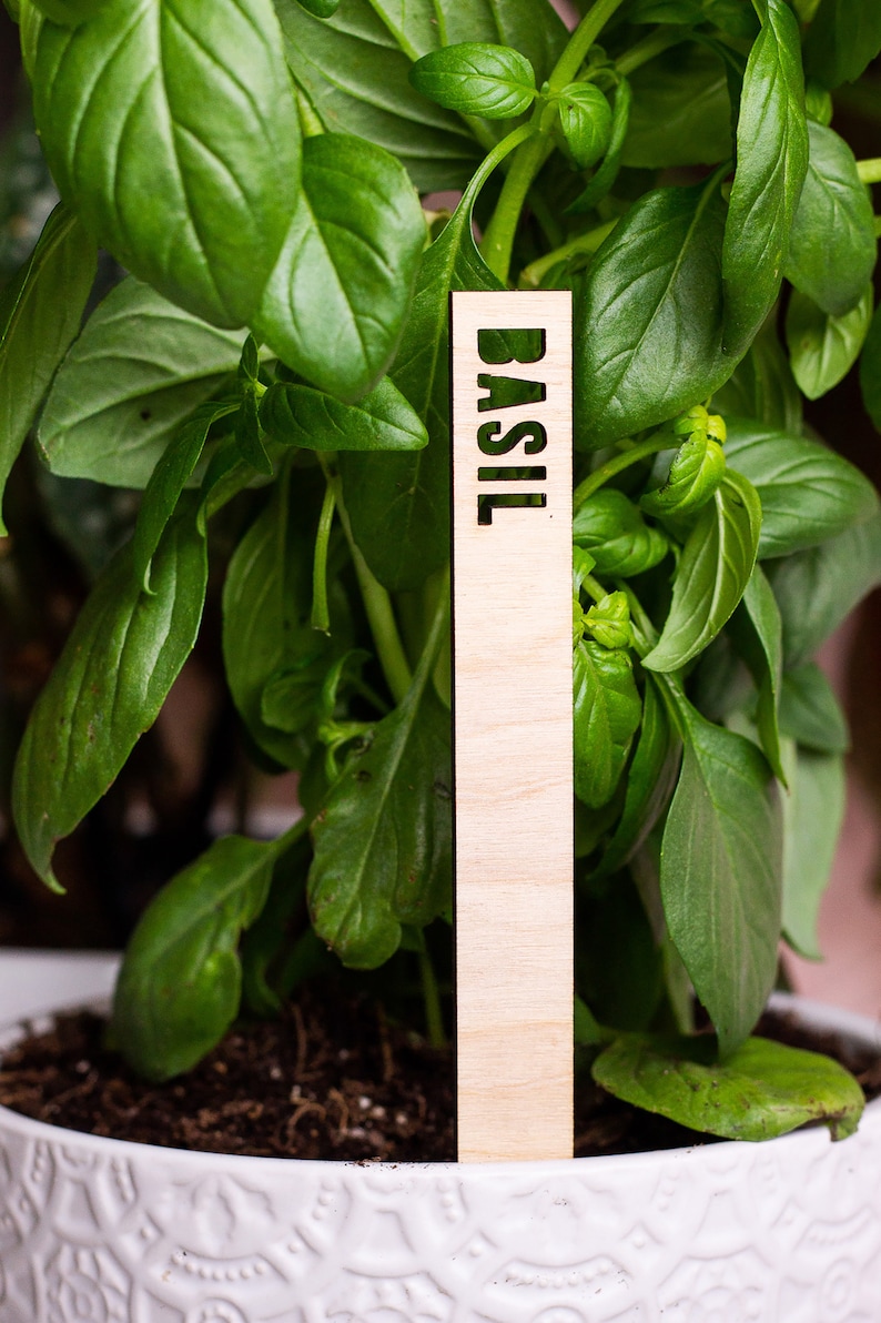 Minimal Plant Markers Plant Stakes Garden Stakes Modern - Etsy