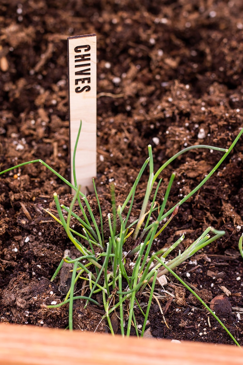 Minimal Plant Markers Plant Stakes Garden Stakes Modern - Etsy