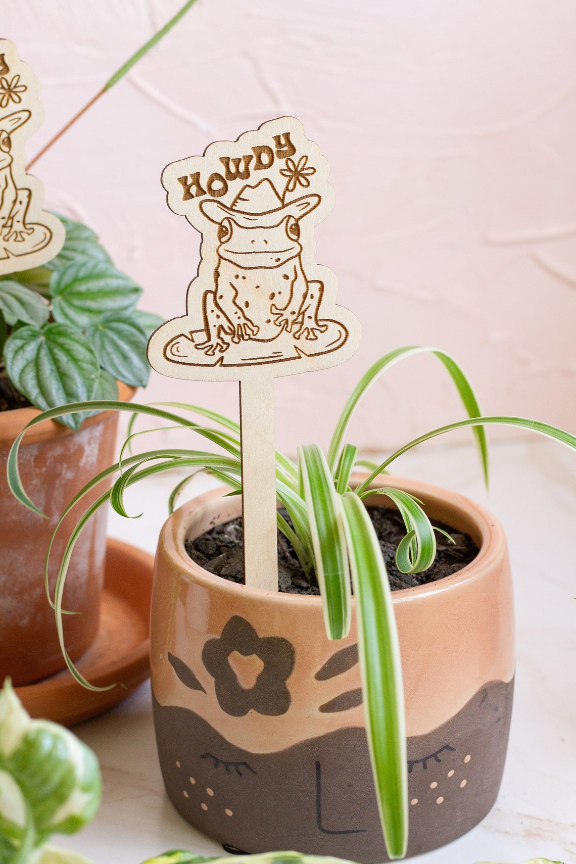 Cowboy Frog Plant Stake, Plant Markers, Garden Decor, Plant Accessories ...